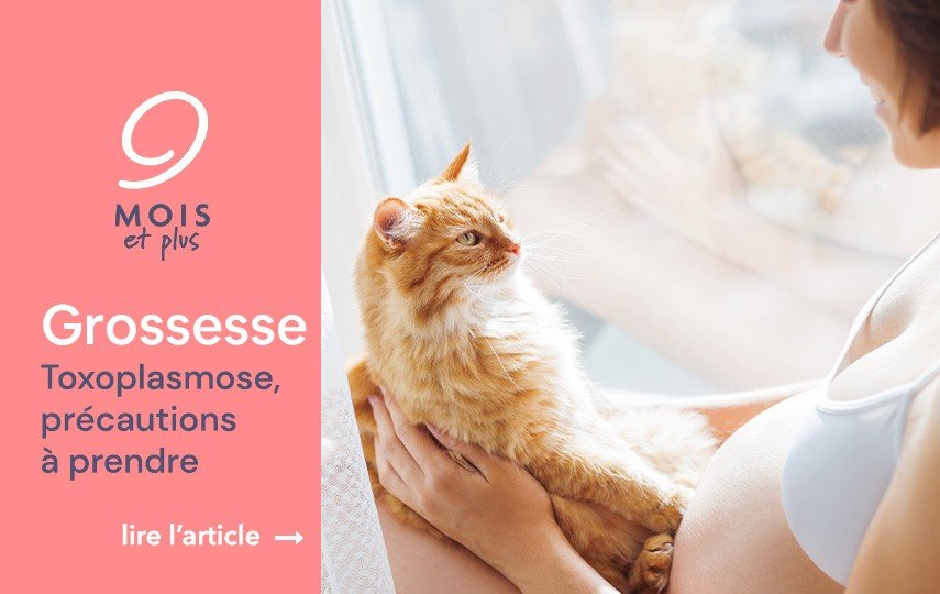 Toxoplasmose : précautions à prendre - 9moisetplus