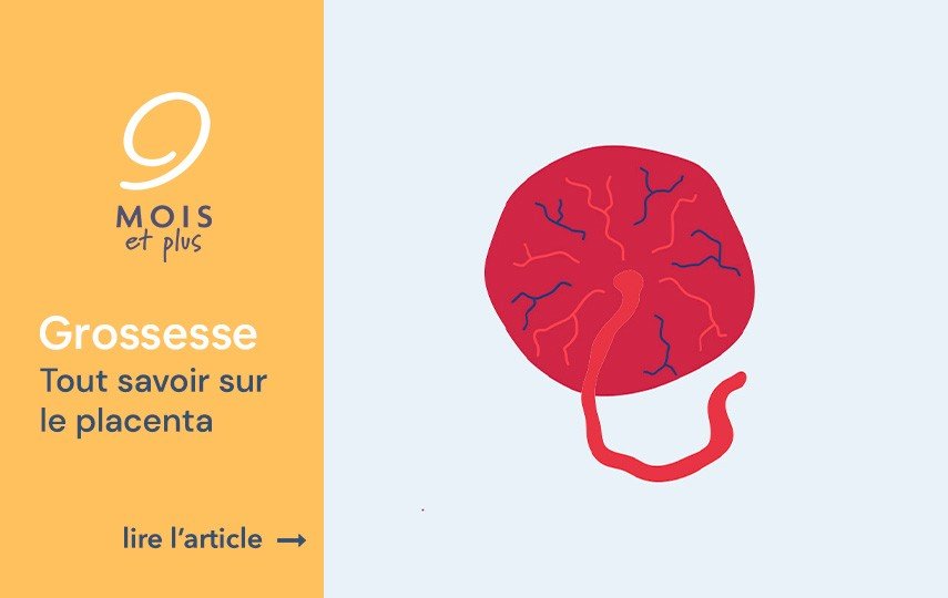 Tout savoir sur le placenta - 9moisetplus